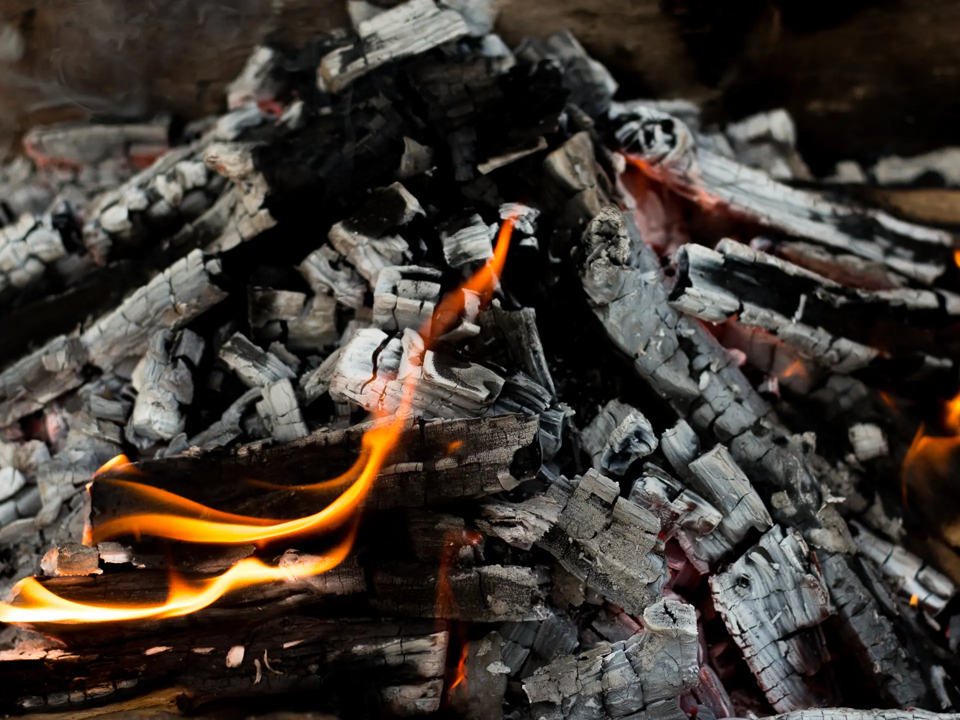 Que faire des cendres de bois ? Les recycler au jardin ou dans la ...